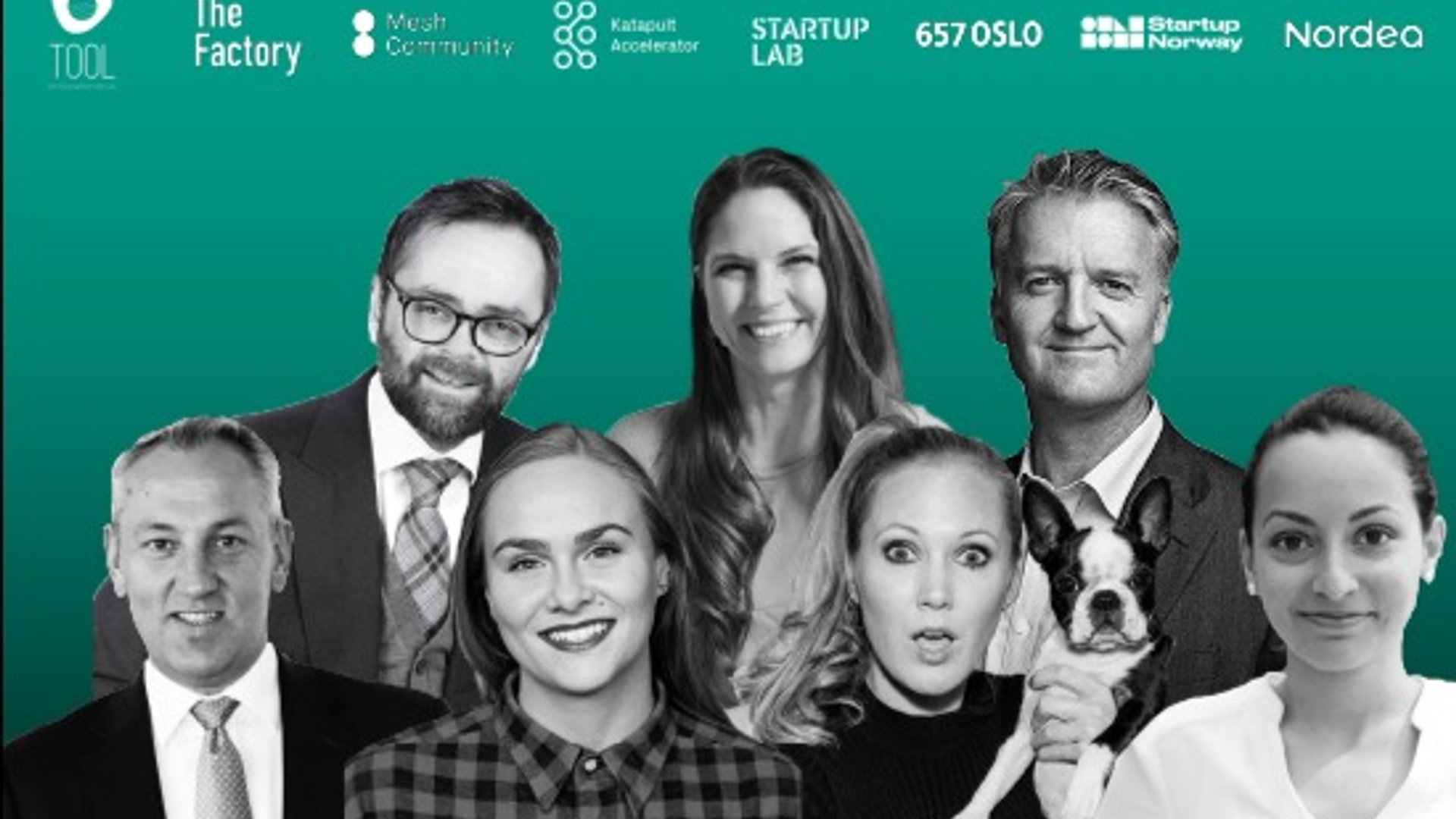 Workshop - Startup and Growth: Pitch Session - VIER.LIVE